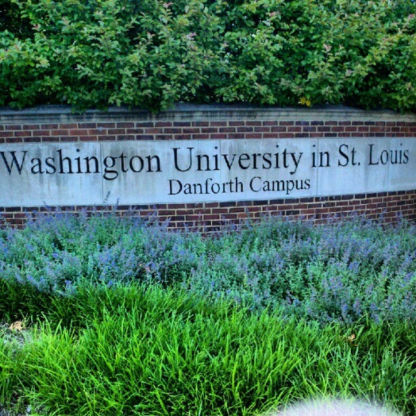 Washington University - University in Saint Louis