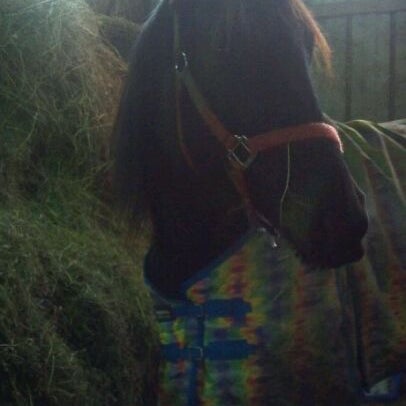 Flyhawk Farm - 1459 NY st rte 80