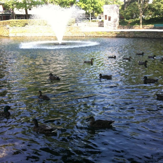 Lititz Springs Park - 11 tips from 856 visitors