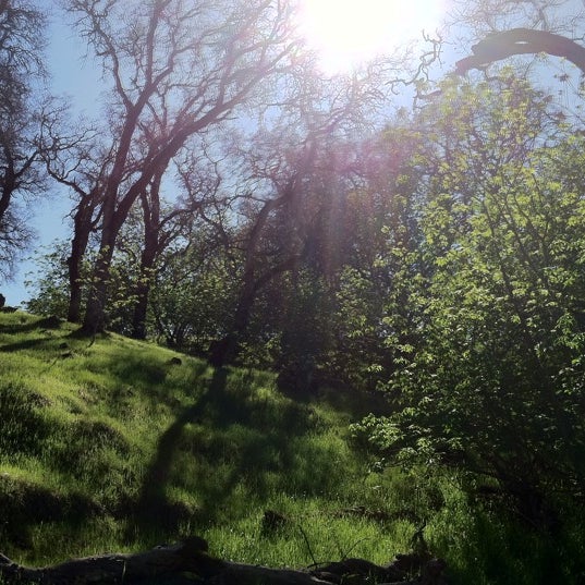 Photos at Beale Lake Nature Trail - Beale Air Force Base, CA