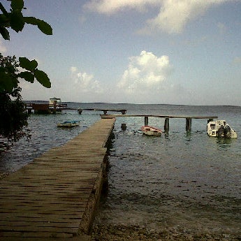 Carmabi Research Institute - Office