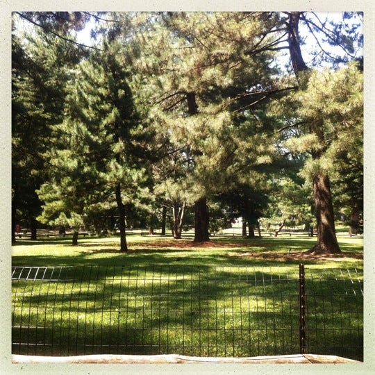 Photos at Arthur Ross Pinetum - Central Park - Central Park W