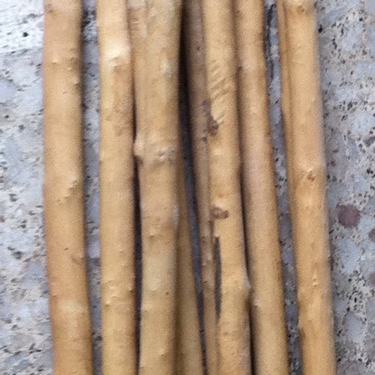 Chinese Martial Arts Weapon Shop - Sporting Goods Retail in Singapore