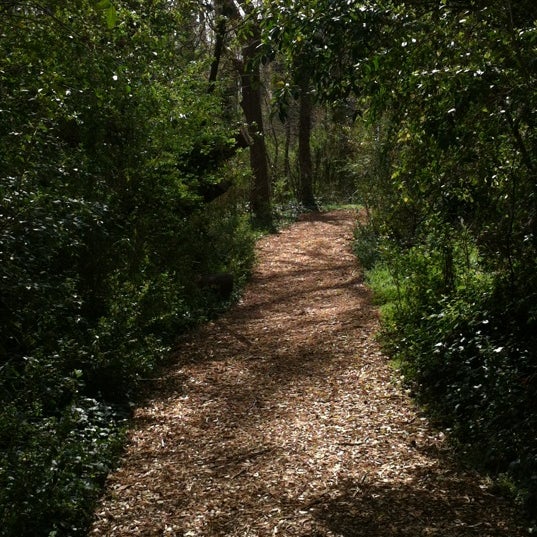 Chesapeake Arboretum - 8 tips