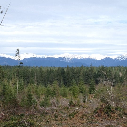 Tahuya State Forrest - Belfair, WA
