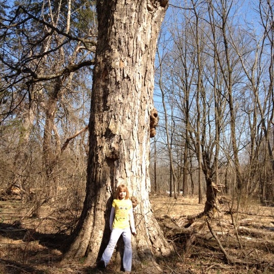 Lake Towhee Park - Campground