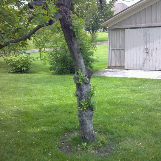 Herbert-Perna Center Physical Therapy - Fremont, OH