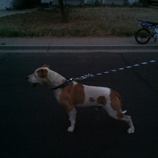 Photos at Mesa Riverview - Shopping Mall in Mesa