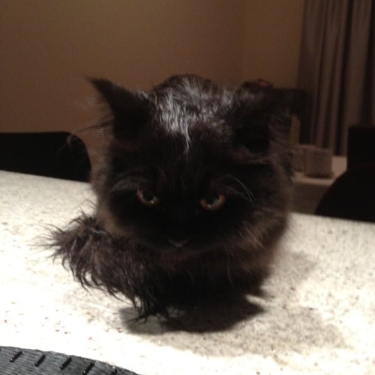 Tanaro Building - دبي, دبي