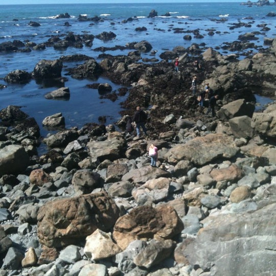 Photos at Palmer's Point - Trinidad, CA