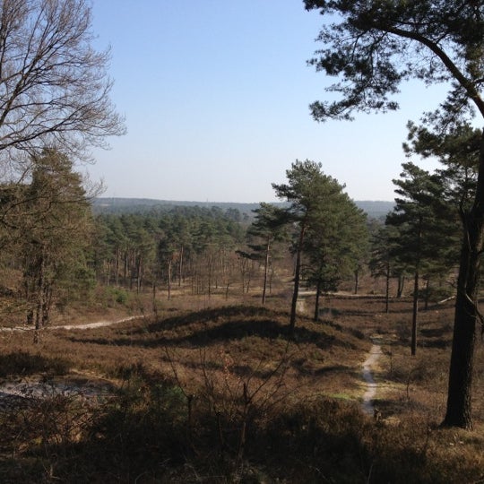 Brunssumerheide - 10 tips