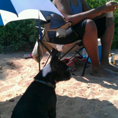 Secret Beach - Pleasant Valley - Austin, TX