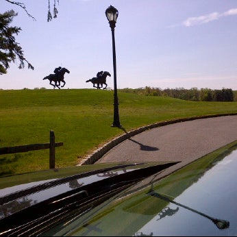 Due Process Stable - Due Process Stable Course - 78 visitors