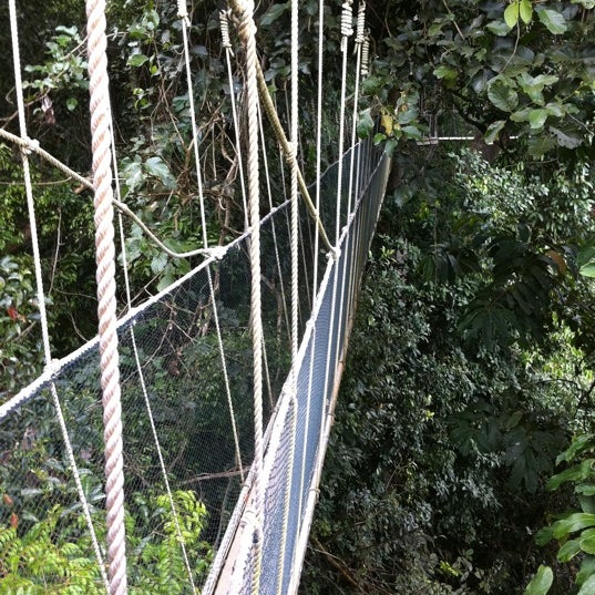 Canopy Walkway - Ranau, negeri sabah
