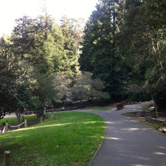 Codornices Park - Berkeley Hills - 18 tips from 1027 visitors