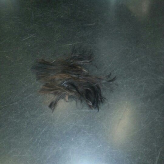 Rokk Ebony - 5 tips from 47 visitors