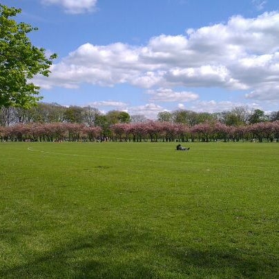 The Meadows - Park in Edinburgh