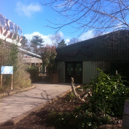 Fruit Bat House - Zoo Exhibit in Chester
