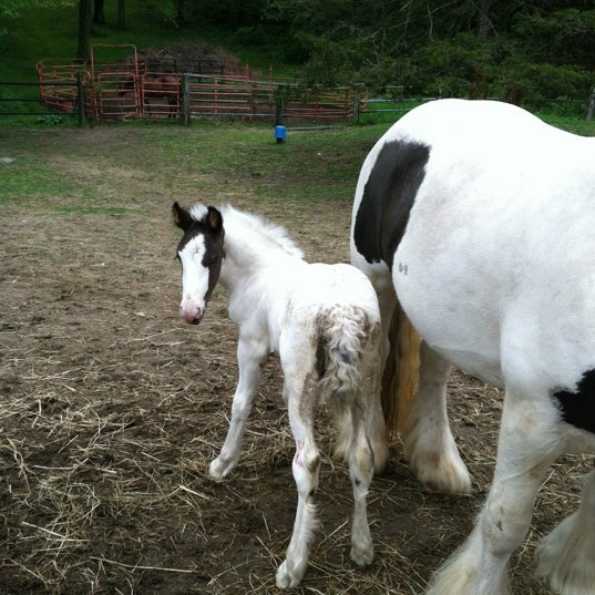 Joe Lato Farm - Newtown, CT