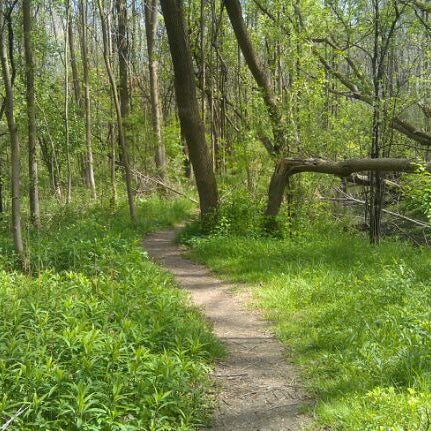 Ryder Park - 3 tips from 102 visitors