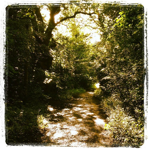 Canley Ford - Canley - Coventry, Coventry