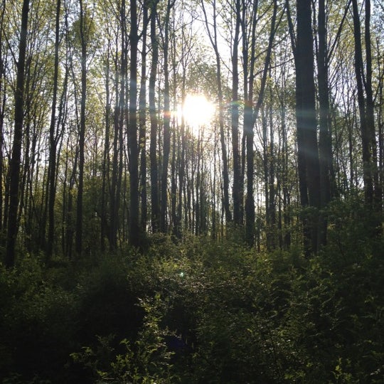 Photos at Whiting Road Nature Preserve - Hiking Trail in Webster