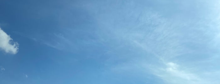 Rochester NY - Thrift Stores