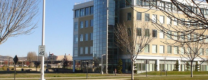 Oracle Offices Around The World