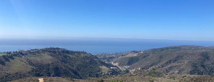 The 15 Best Places with Scenic Views in Laguna Beach