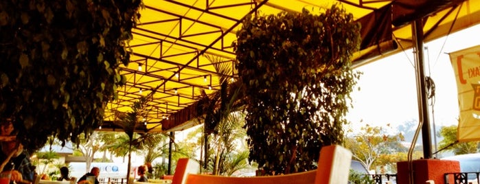 The 15 Best Places for Elk in San Diego