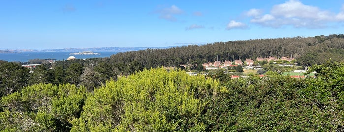 The 15 Best Scenic Lookouts in San Francisco