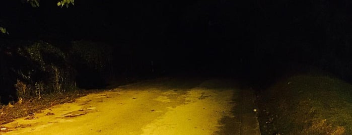 Sengkang & Punggol LRT