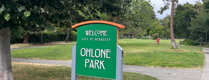 The 15 Best Places for Sports in Berkeley