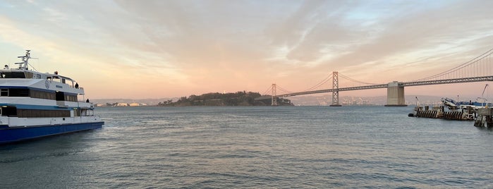 The 15 Best Scenic Lookouts in San Francisco