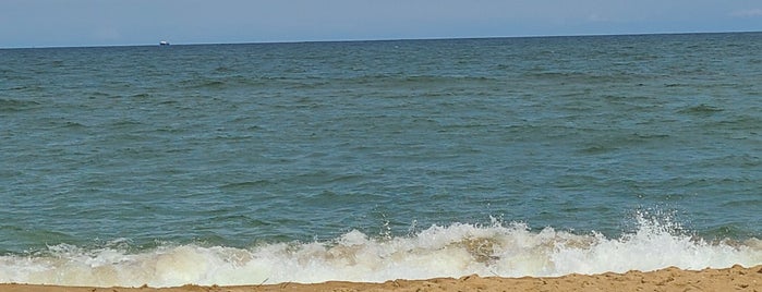 The 15 Best Places for Surfing in Virginia Beach