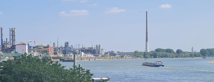 Bayer locations of the world