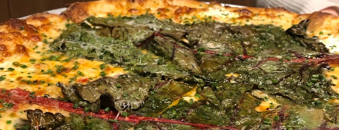 The 15 Best Places for Pizza in Philadelphia