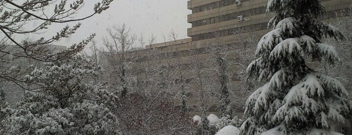 Ekbatan Complex | شهرک اکباتان