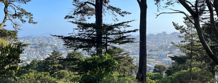 The 15 Best Scenic Lookouts in San Francisco