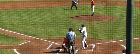 The 7 Best Places for Baseball in San Jose