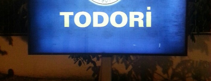 Fenerbahçe Todori Tesisleri