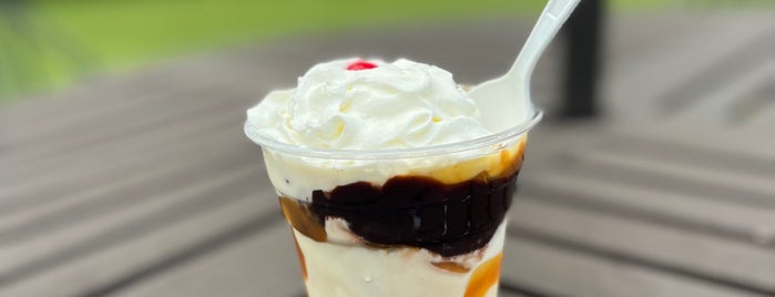 The 15 Best Ice Cream Parlors in Indianapolis