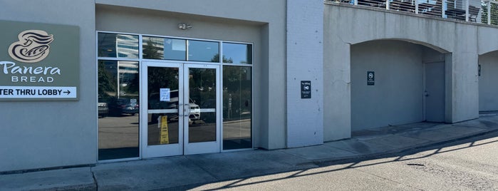 The 15 Best Places for Macaroons in Philadelphia