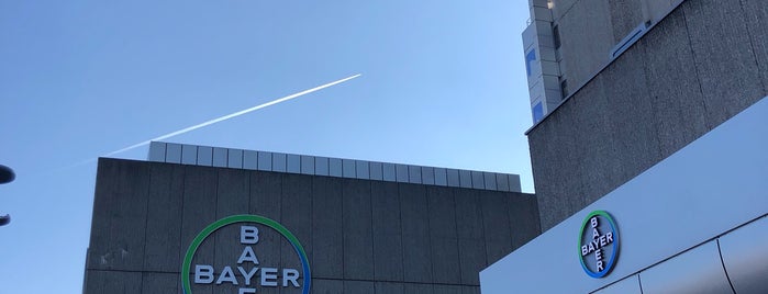 Bayer locations of the world