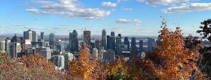 The 15 Best Places with Scenic Views in Montreal
