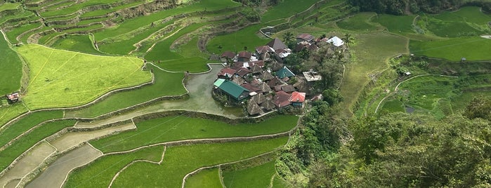 Rice Terraces of the Philippine Cordilleras
