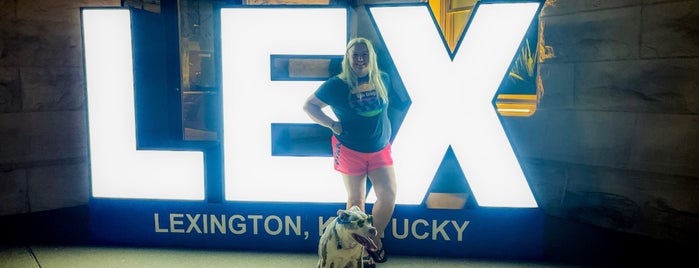 The 15 Best Places for Music in Lexington