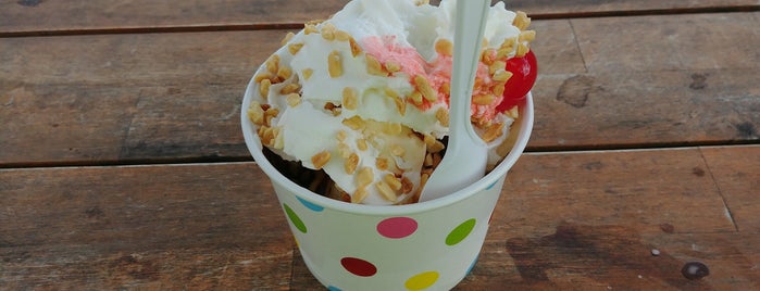 The 15 Best Ice Cream Shops in Indianapolis