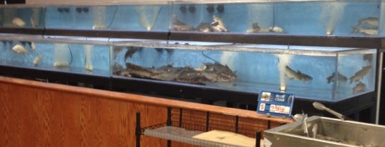 The 15 Best Places for Fresh Seafood in Memphis