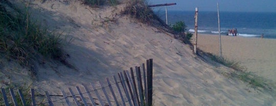 The 15 Best Places for Surfing in Virginia Beach